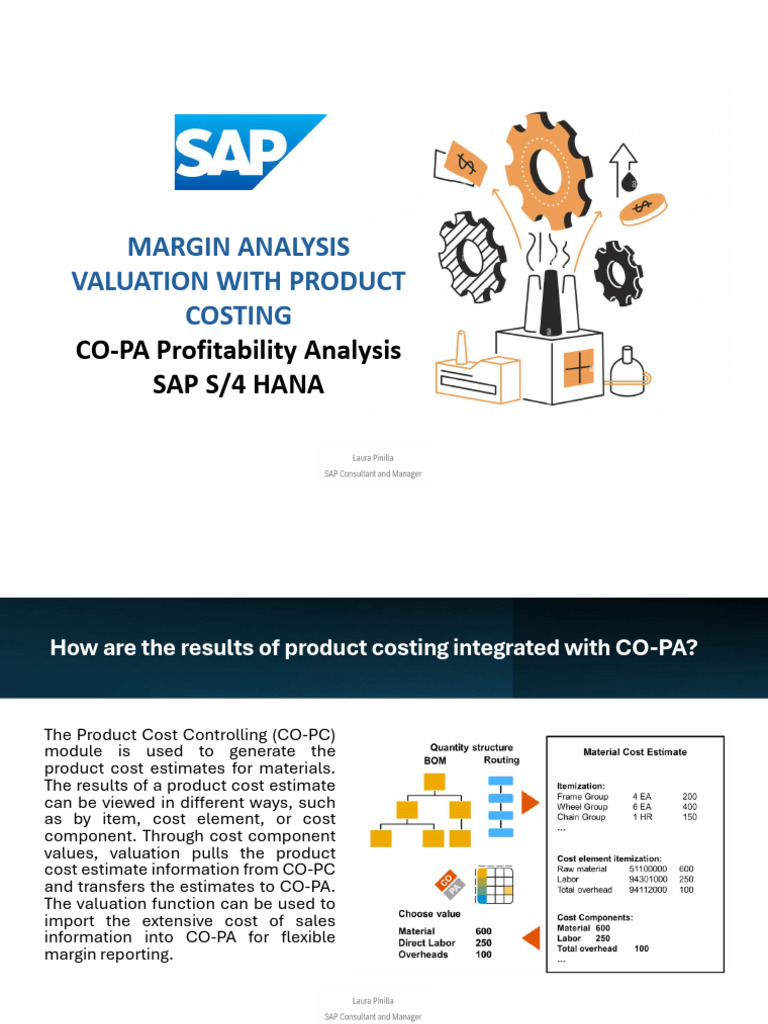 SAP Cost of Goods Sold Splitting in Margin Analysis | PDF | Cost Of Goods Sold | Business