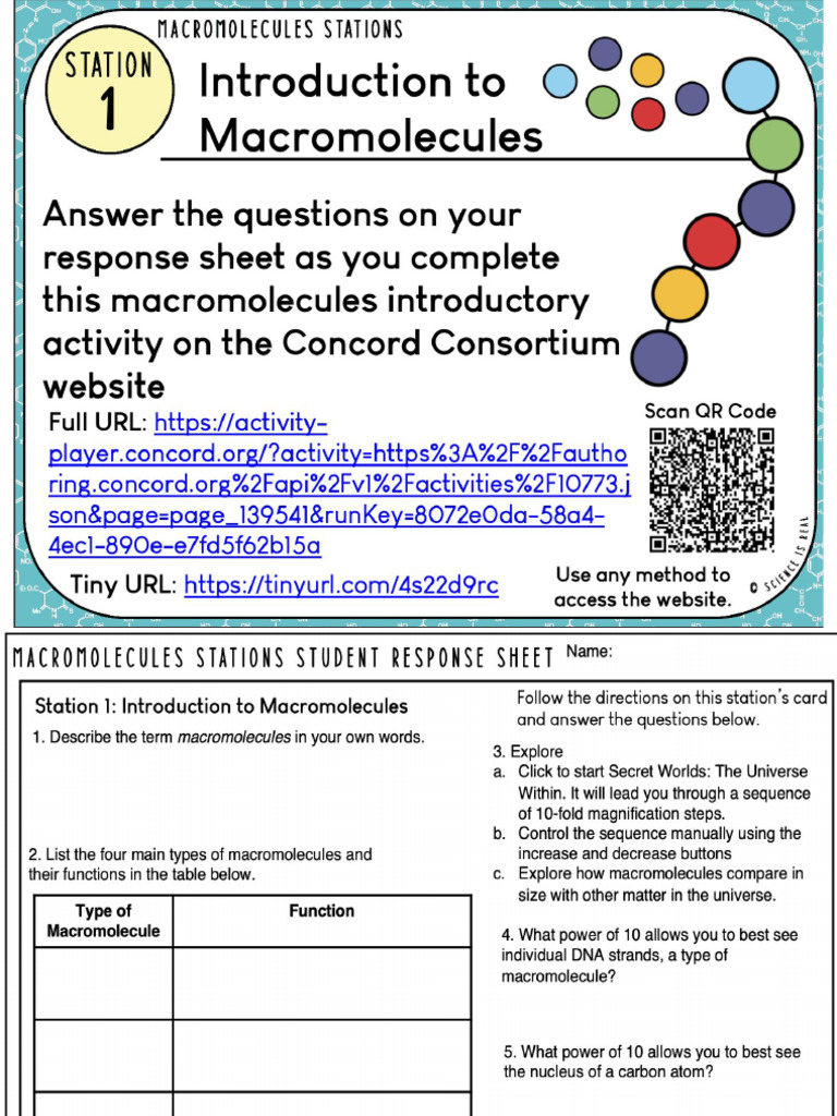 Intro+to+Biomolecules+Station | PDF