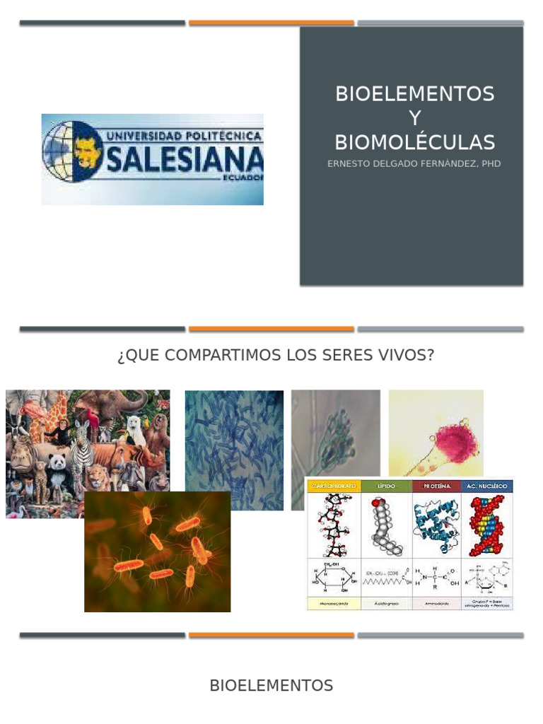 Bioelementos y Biomoléculas | PDF | Biomoléculas | Metabolismo