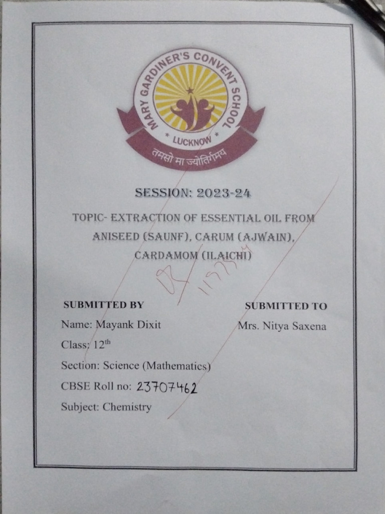Class 12 Project Format Pdf