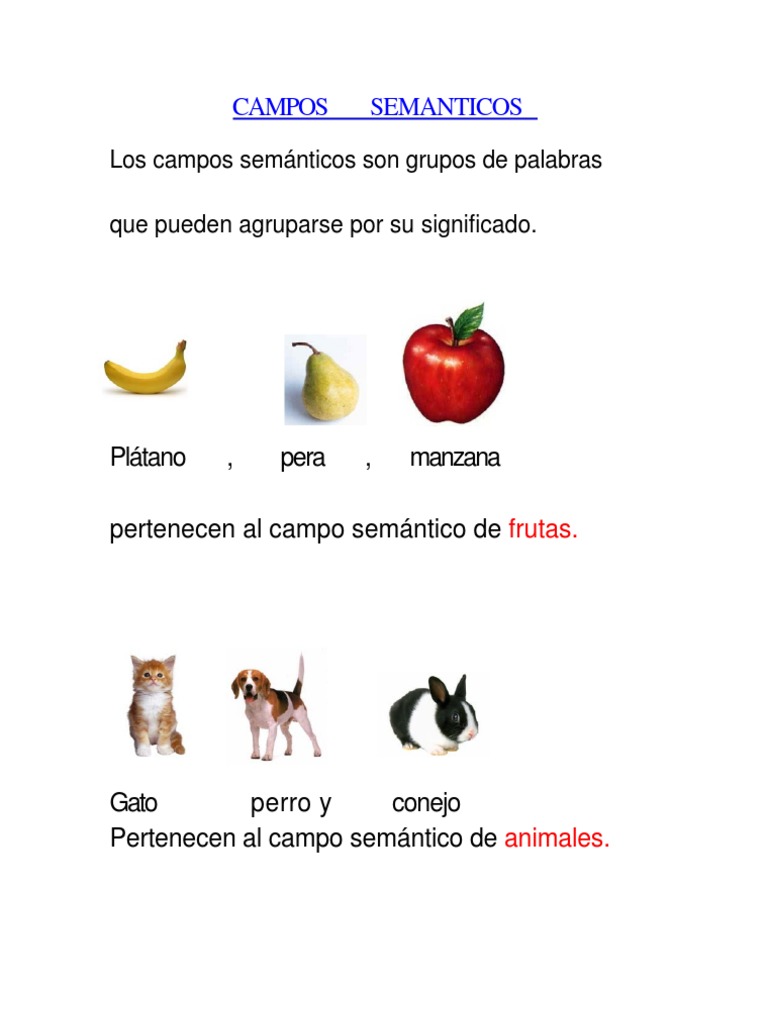 campos-semanticos