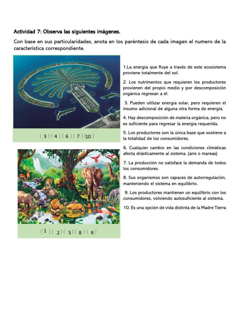 Actividades 7,8,9 Cuadernillo | PDF | Agua | Descomposición