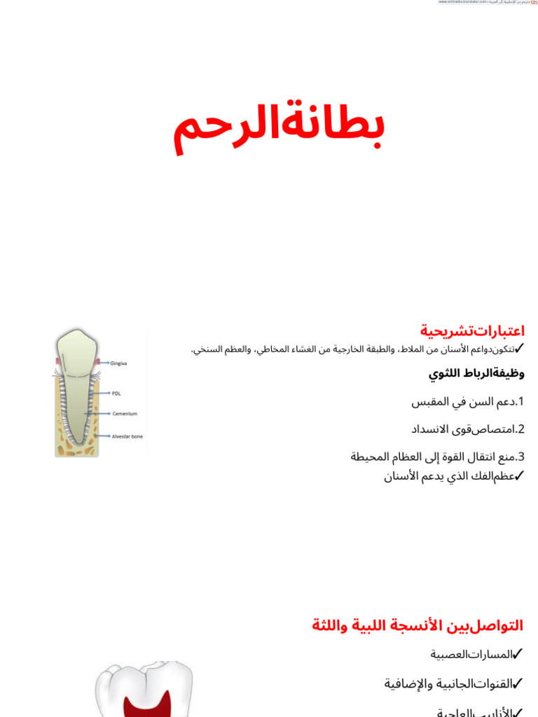 Endo-Perio Relation - En.ar | PDF