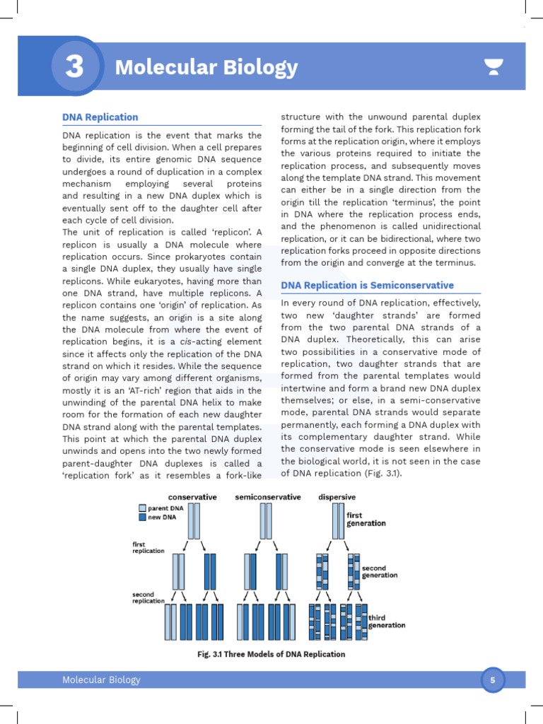 Moleculer Biology NOTES | PDF | Dna Replication | Primer (Molecular ...