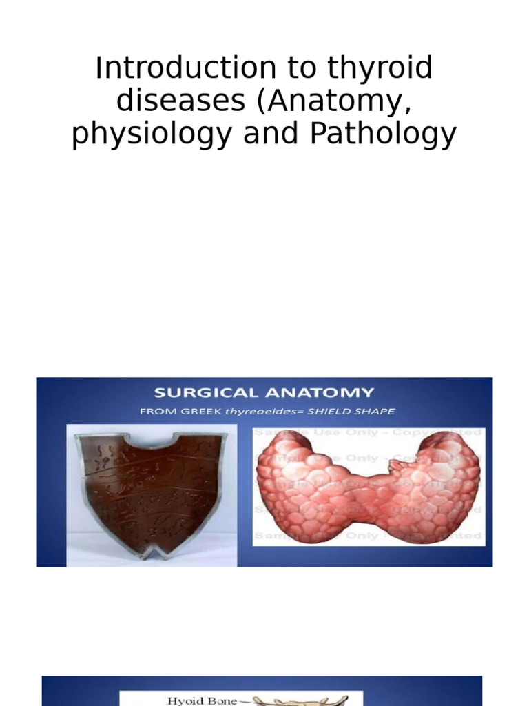 Thyroid Diseases: Anatomy, Physiology, Pathology | PDF | Thyroid | Larynx