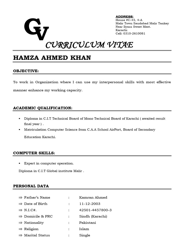 hamza cv | PDF