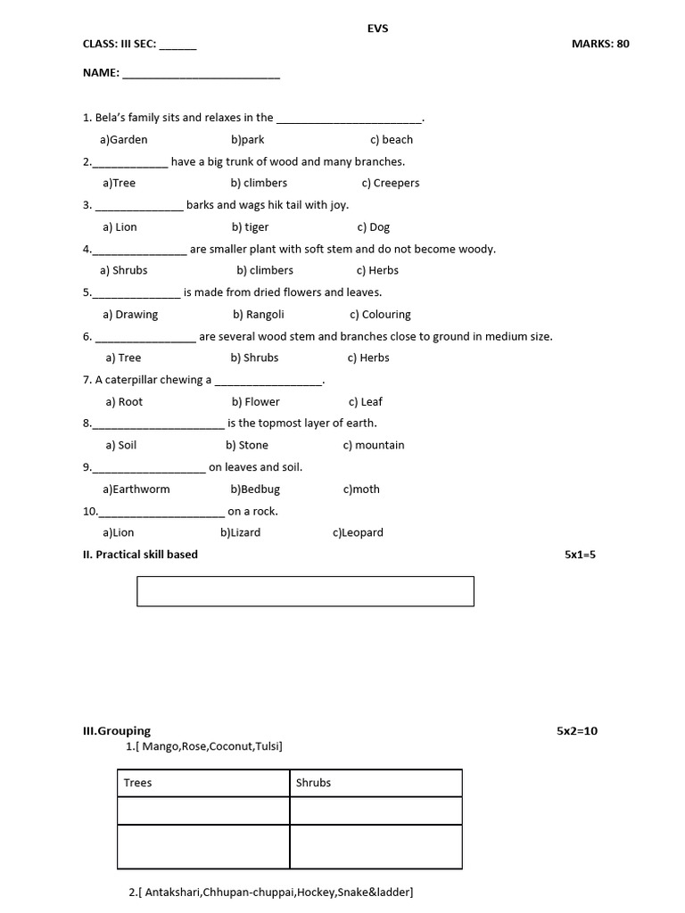 3rd EVS FINAL WORD | PDF | Shrub | Trees