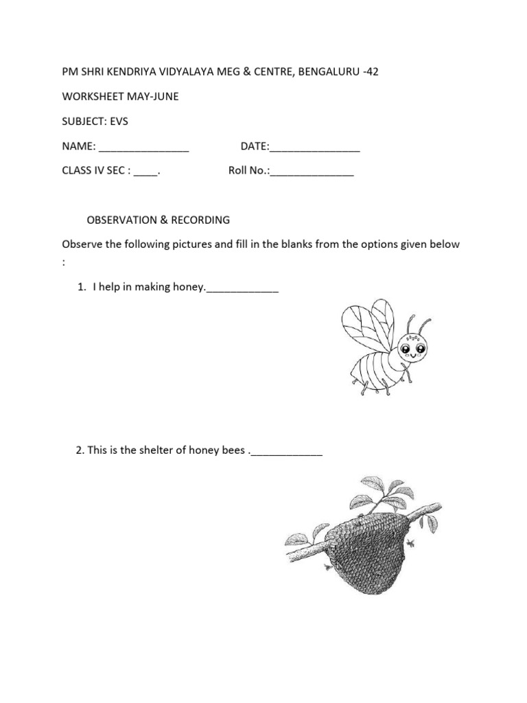 Class 4 EVS Worksheet: Observation & Facts | PDF