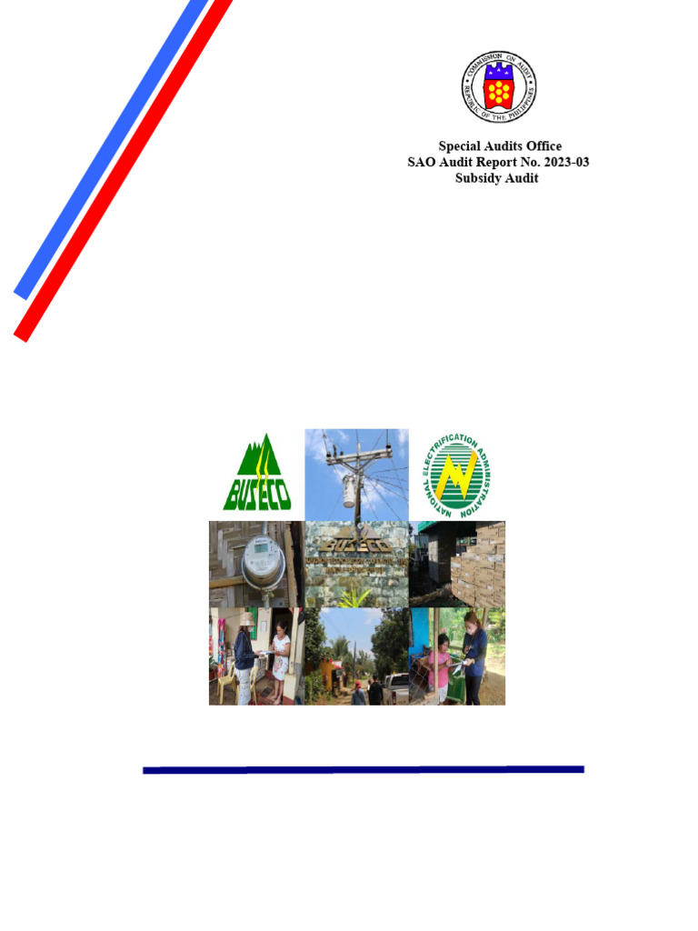 Bukidnon II Electric Cooperative Inc. BUSECO SAO Report No. 2023 03 | PDF
