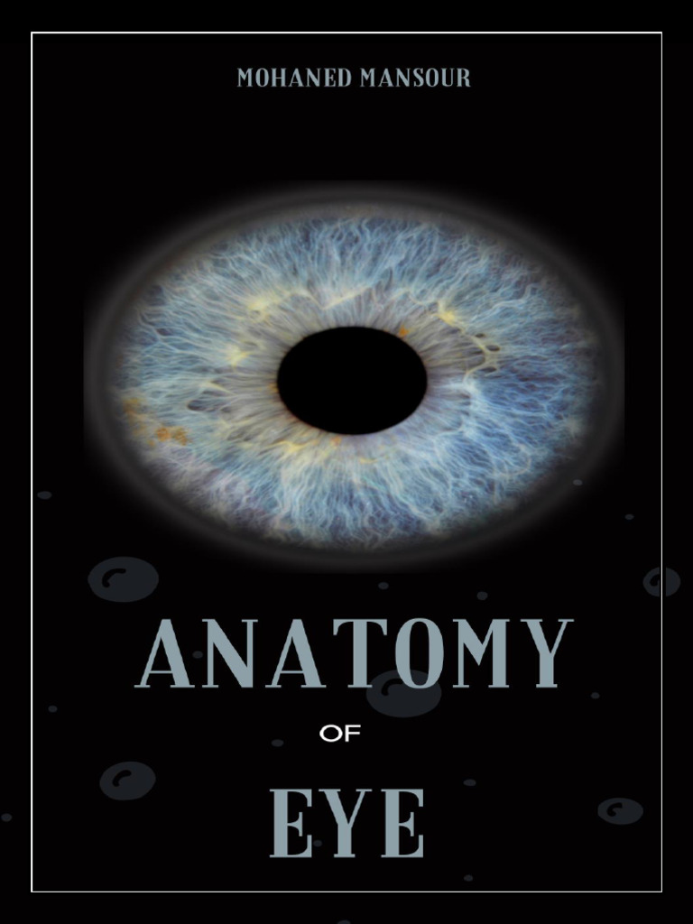 Anatomy of Eye (Honda Edition) 7 | PDF | Human Eye | Human Head And Neck