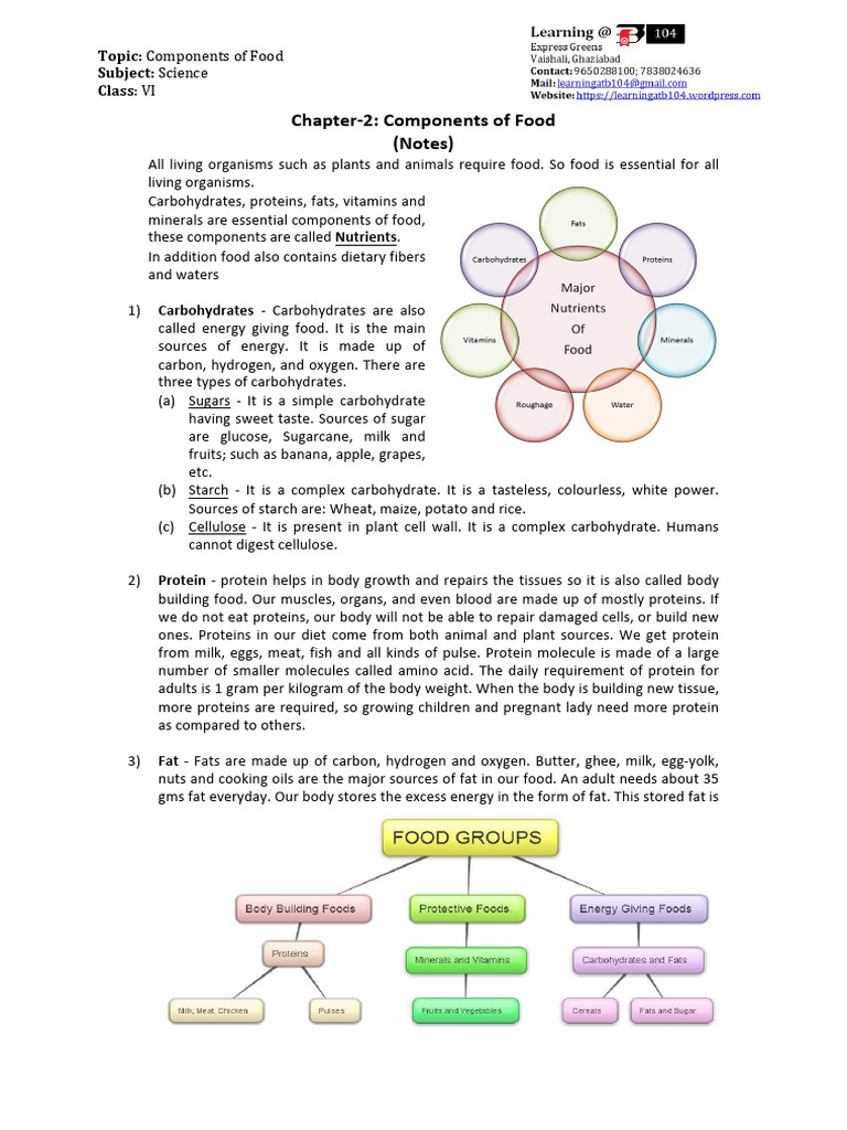 Components of Food Notes | PDF | Foods | Carbohydrates