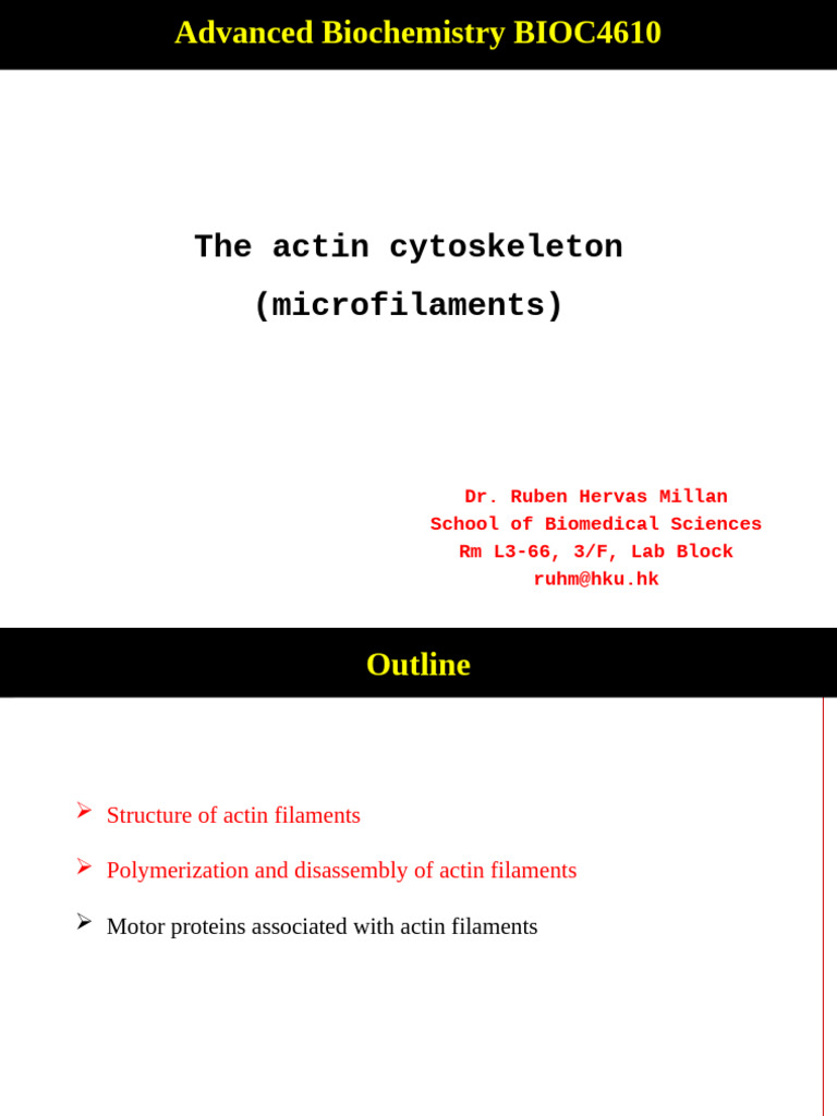 L4-The Actin Cytoskeleton - Part I | PDF | Actin | Structural Biology