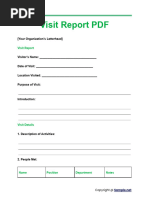 Visit Report Form Word | PDF