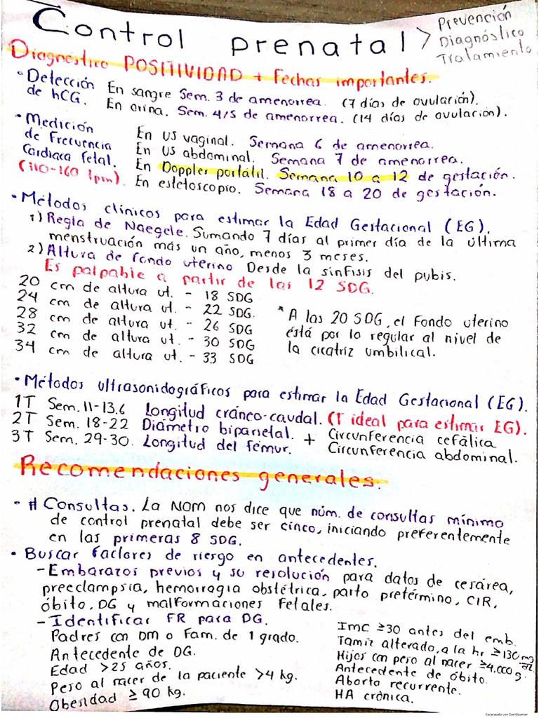 Control Prenatal Ulises - Afc | PDF
