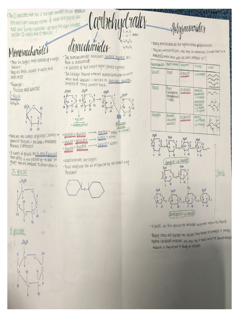 Carbs Notes | PDF
