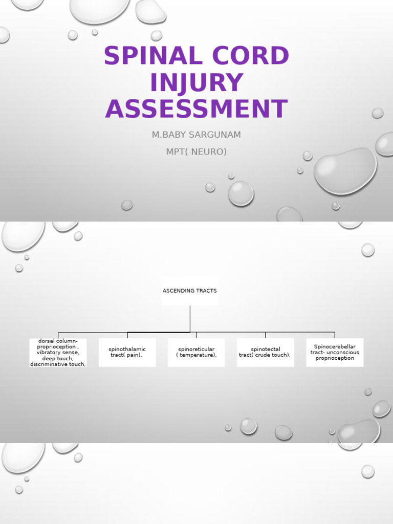 Spinal Cord Injury Assessment | PDF | Spinal Cord | Spinal Cord Injury