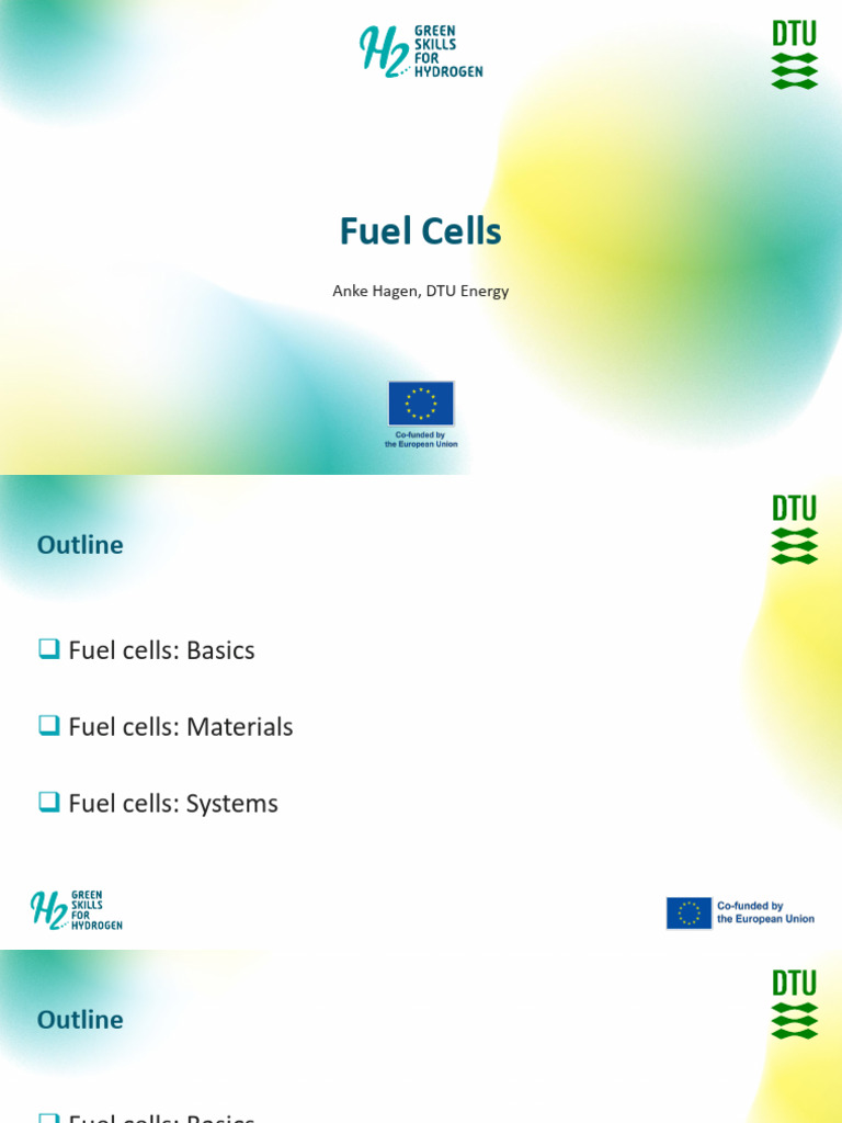 Anke Hagen Fuel Cell Lecture and Exercises Handout | PDF | Fuel Cell ...