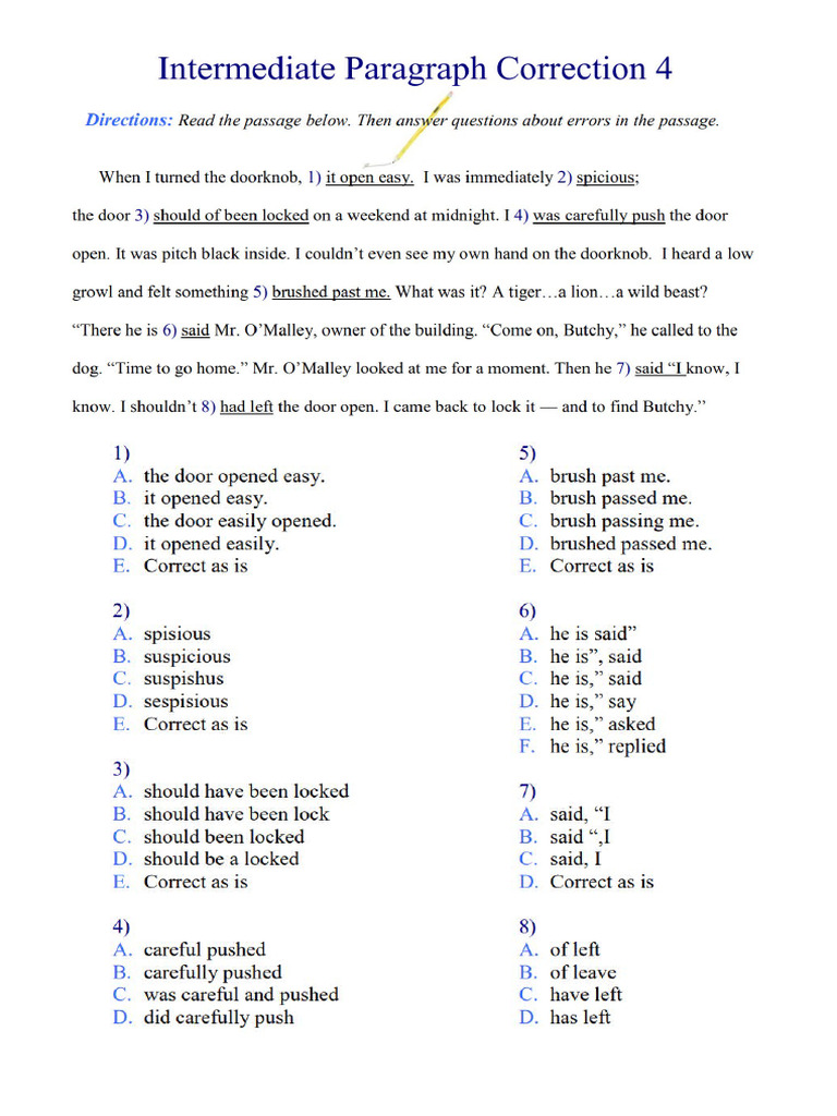 Paragraph Correction 4 | PDF