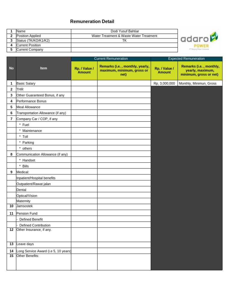 FORM Remuneration Detail | PDF