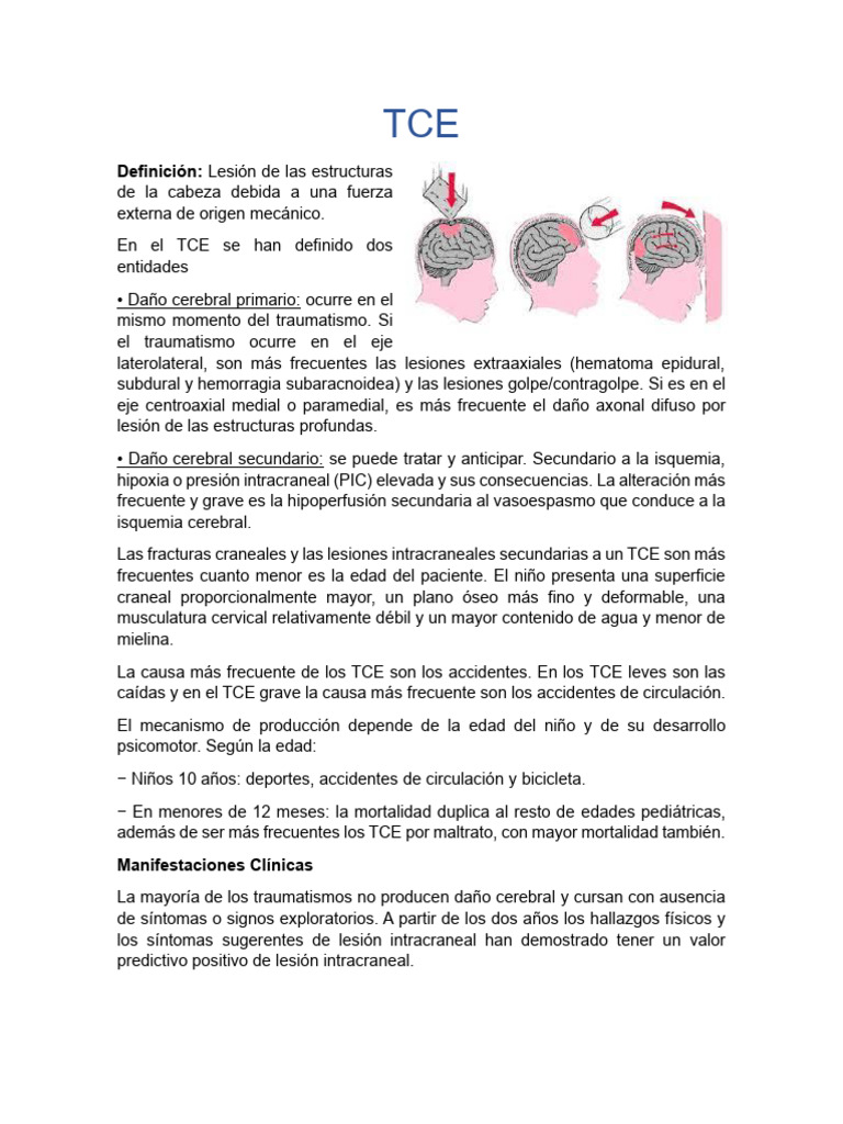 TCE | PDF | Lesión cerebral traumática | Causas de la muerte