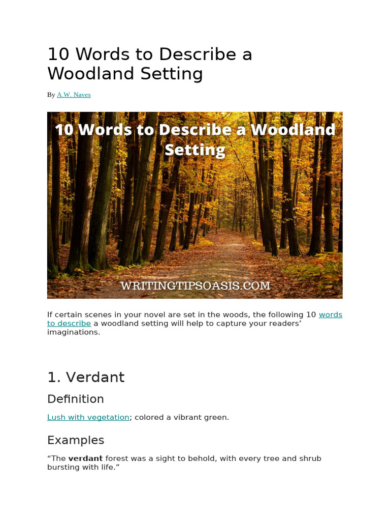 10 woodland vocab | PDF | Forests | Trees