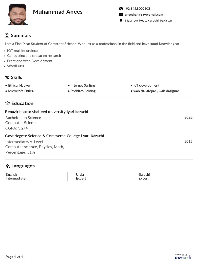 S-Schedule - Muhammad+Anees-CV | PDF