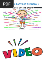 Latin Names for Human Body Parts | PDF | Human Anatomy | Primate Anatomy