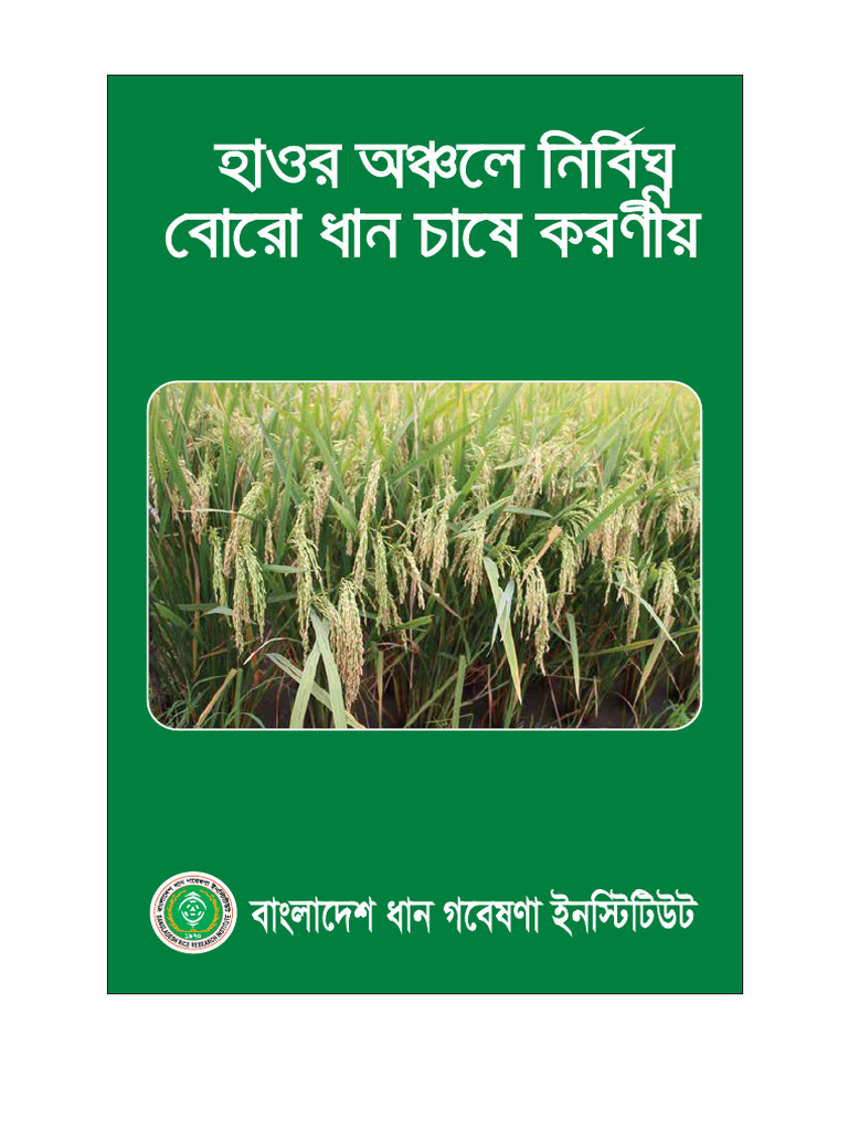 Hawor Rice Production | PDF