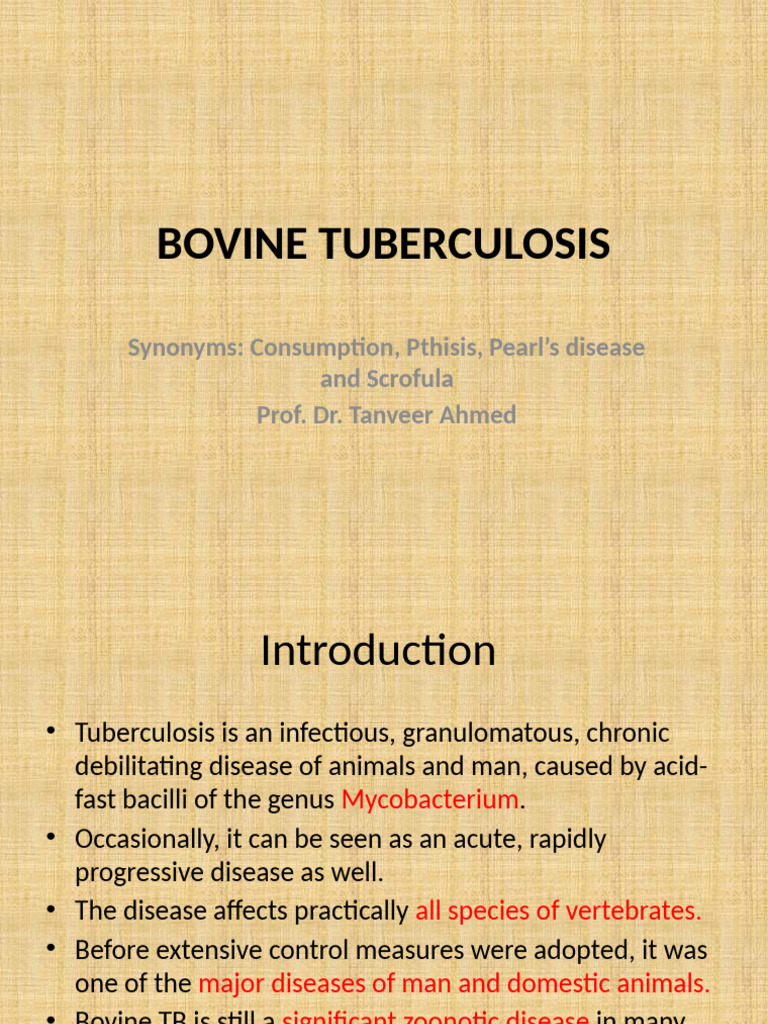 Bovine Tuberculosis Plus para | PDF | Tuberculosis | Infection