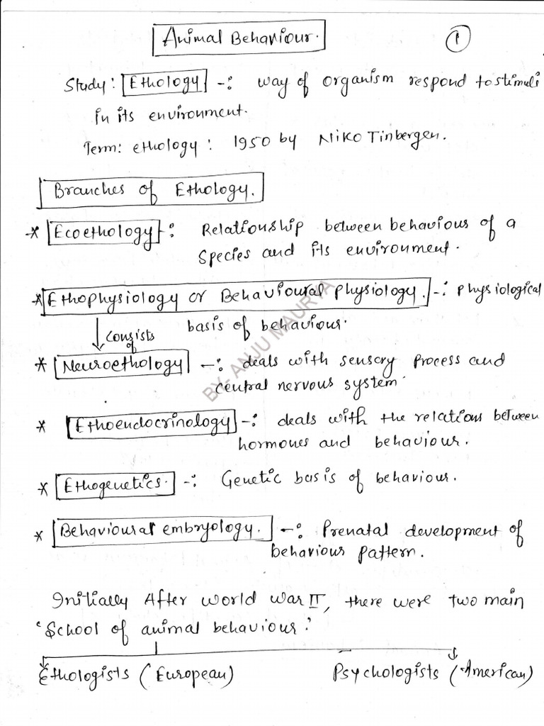 Complete PDF of Ethology - 14411609 - 2024 - 10 - 13 - 21 - 19 | PDF