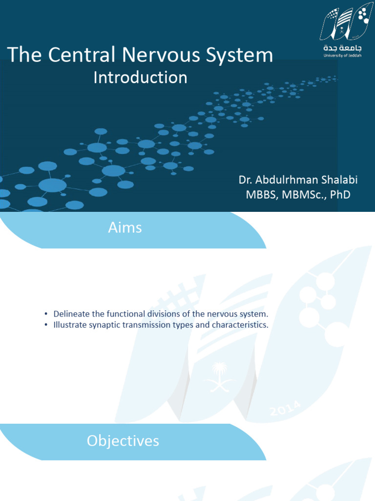 1 CNS Introduction | PDF | Inhibitory Postsynaptic Potential | Excitatory Postsynaptic Potential