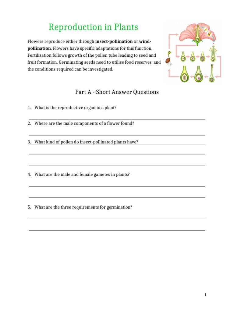 Worksheet 37 - Reproduction in Plants | PDF | Seed | Flowers