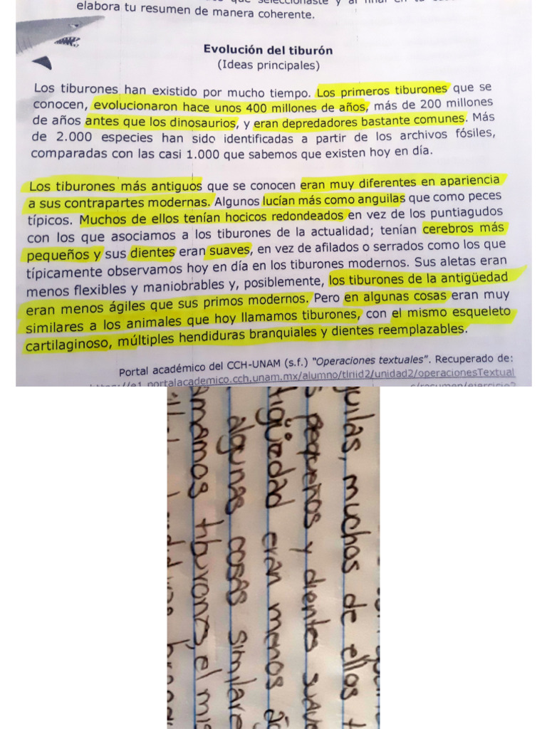 Escaneado 20221026-1358 | PDF