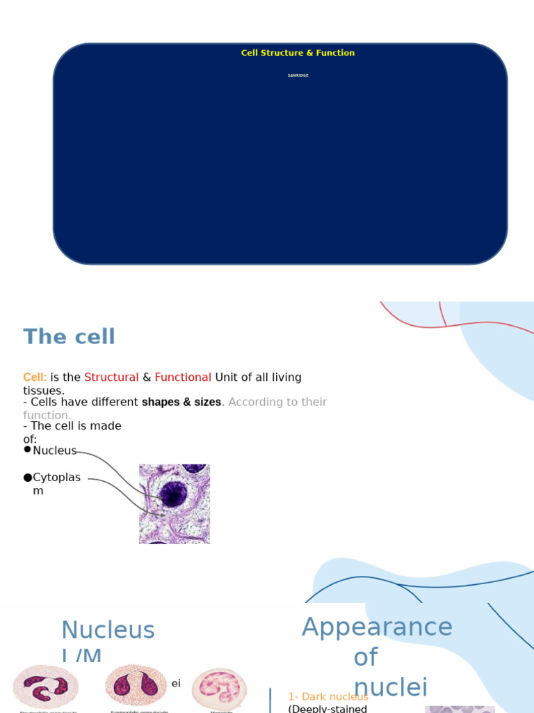 Cellullar Structure and Function - 111348 | PDF | Cell Nucleus ...