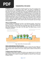 Student Crop Production Project | PDF | Fertilizer | Soil