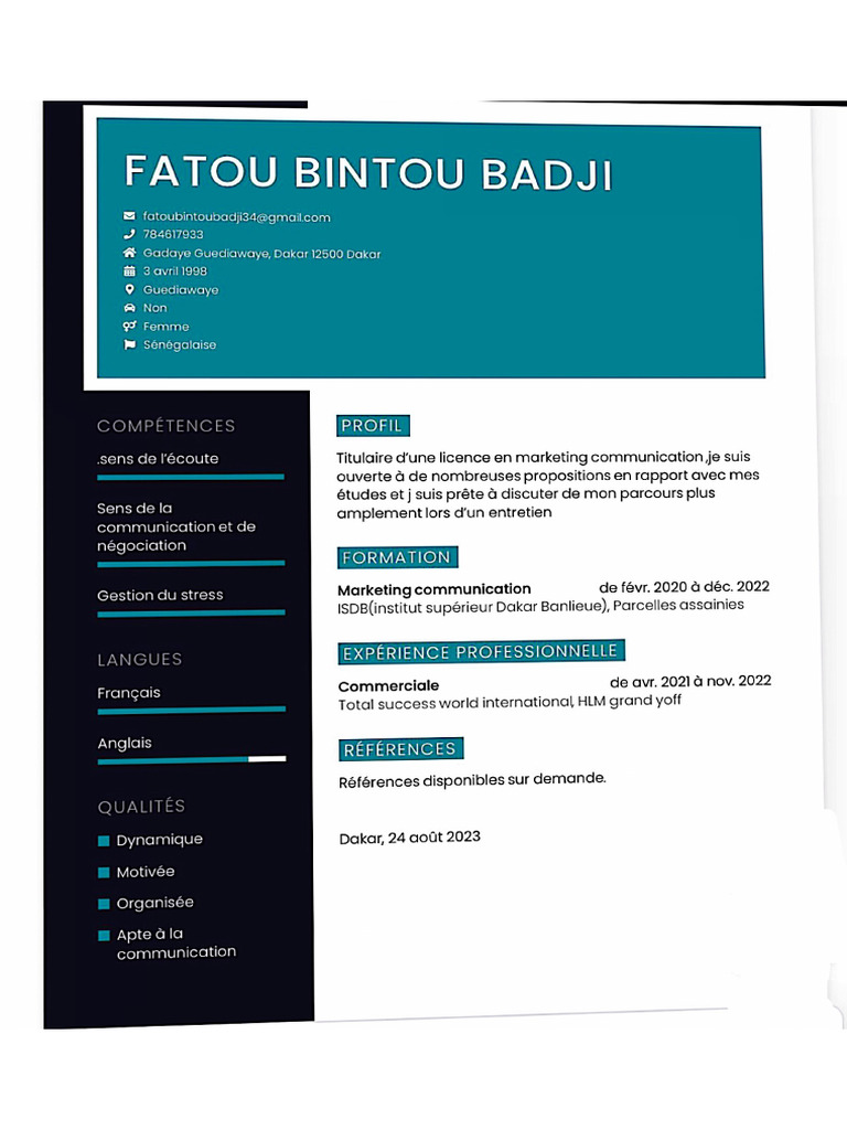 CV Badji | PDF