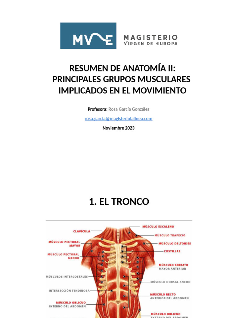 Resumen Conocimiento Anatómico II | PDF | La columna vertebral | Hombro