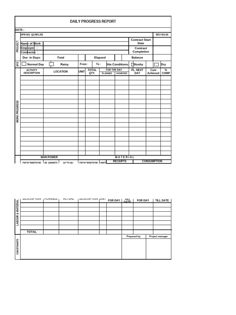 Daily Progress Report | PDF