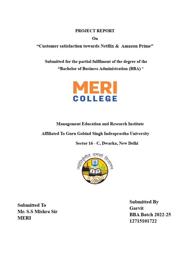 MPR II Copy 3 | PDF | Market Segmentation | Netflix