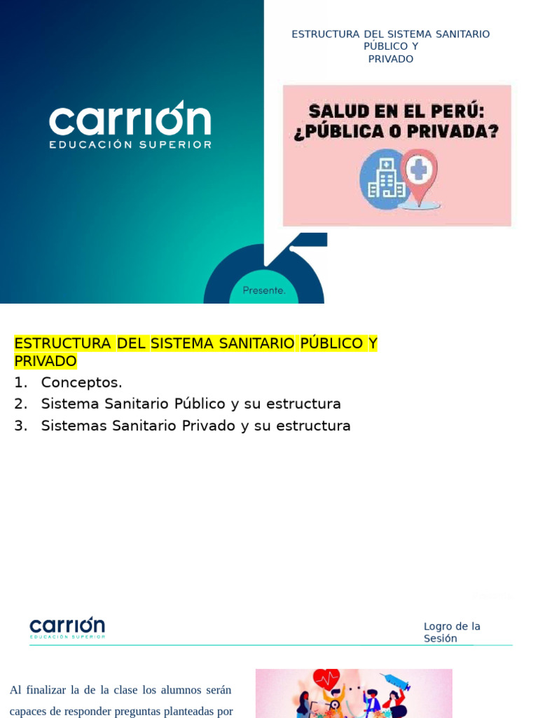 Clase 2 Estructura Del Sistema Sanitario | PDF | Economias