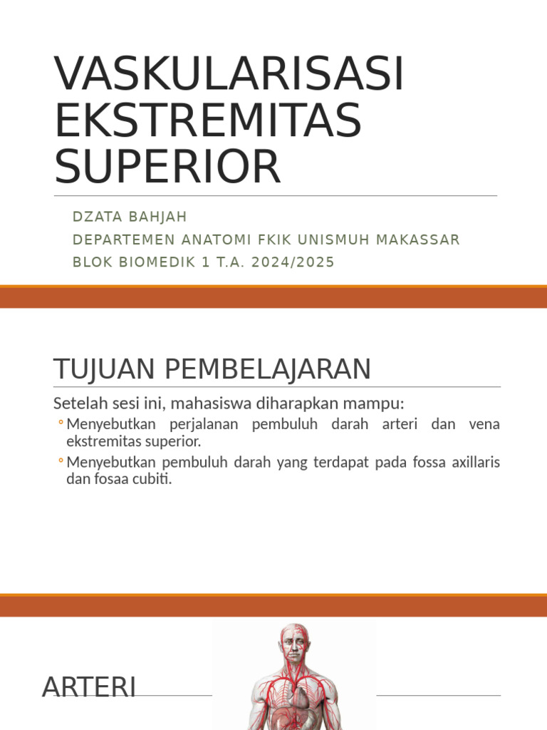 Vaskularisasi Ekstremitas Superior | PDF