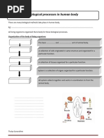 Grade 8 Science Short Notes Enhanced | PDF