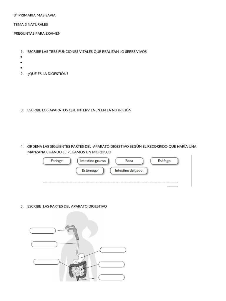 3º Primaria Mas Savia Preguntas Tema 3 para Examen | PDF