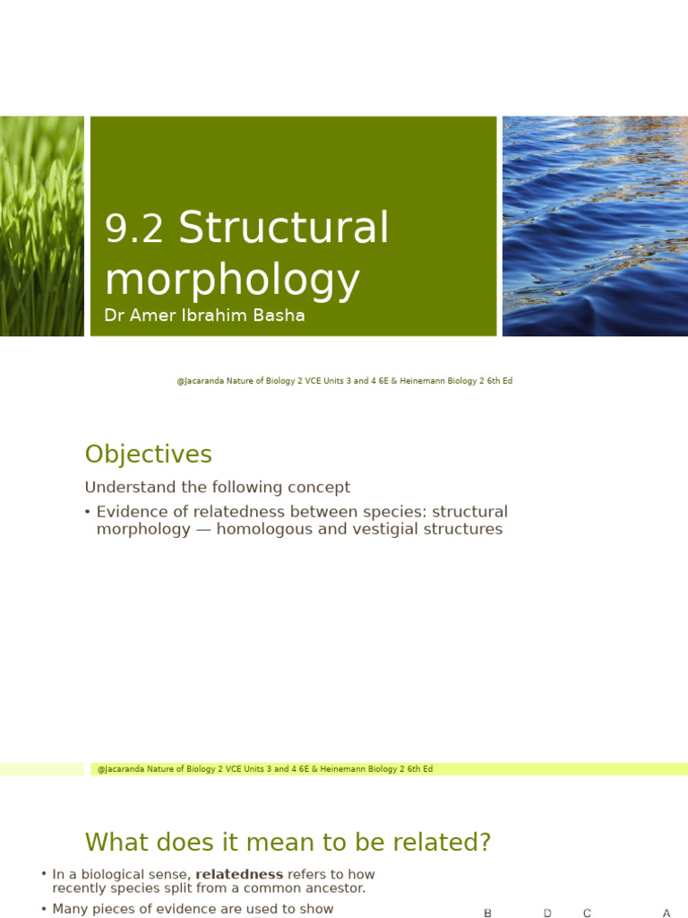 9.2 Structural Morphology | PDF | Homology (Biology) | Evolutionary Biology