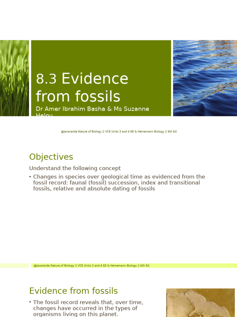 8.3 Evidence From Fossils | PDF | Fossil | Sedimentary Rock