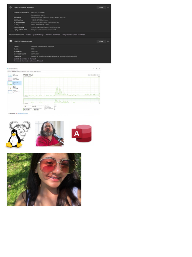 IMAGENES STEAM | PDF
