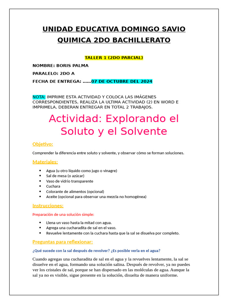 ACTIVIDAD SOLUTO Y SOLVENTE Boris Palma | PDF | Solubilidad | Sal (química)