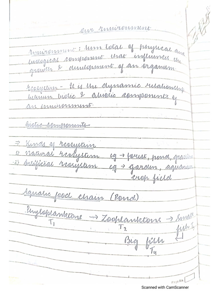 Our Environment Class 10 Bio | PDF