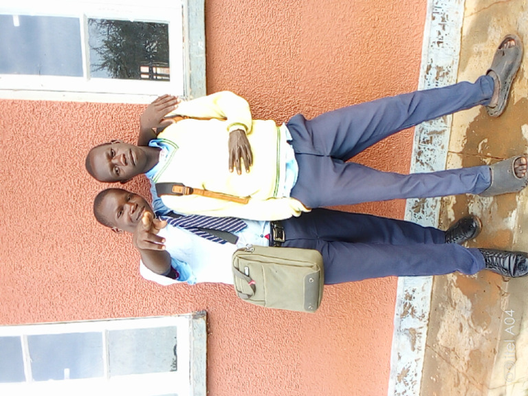 PDF Phoenix 20241022 132810 | PDF