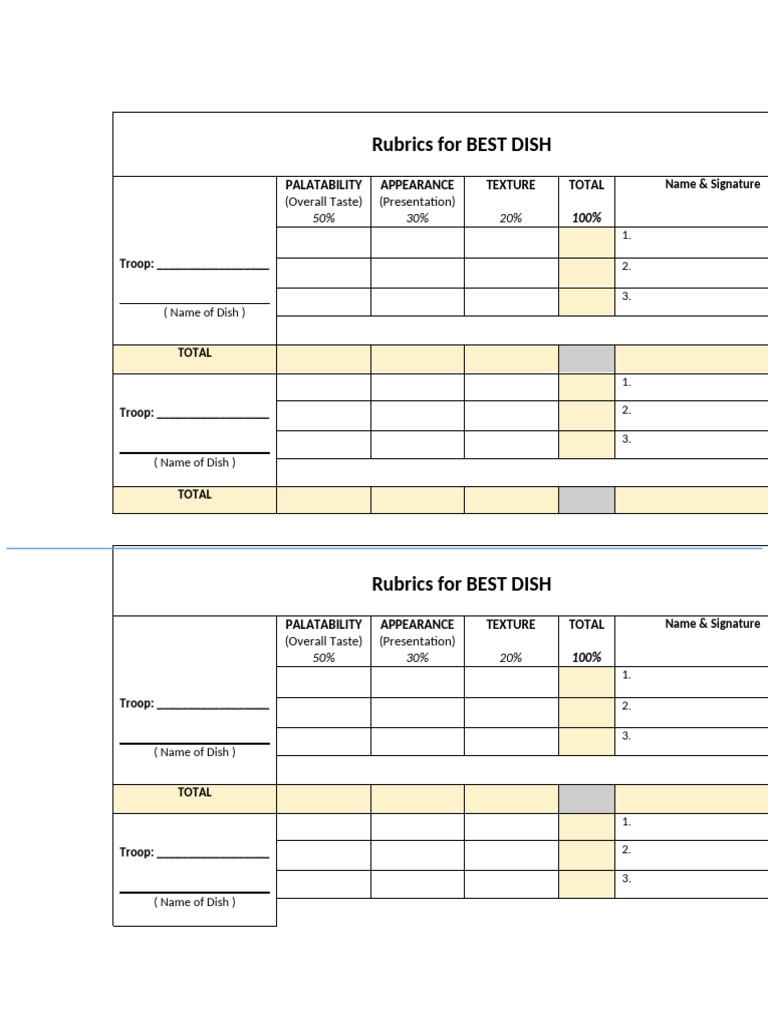 Practicum Rubrics | PDF